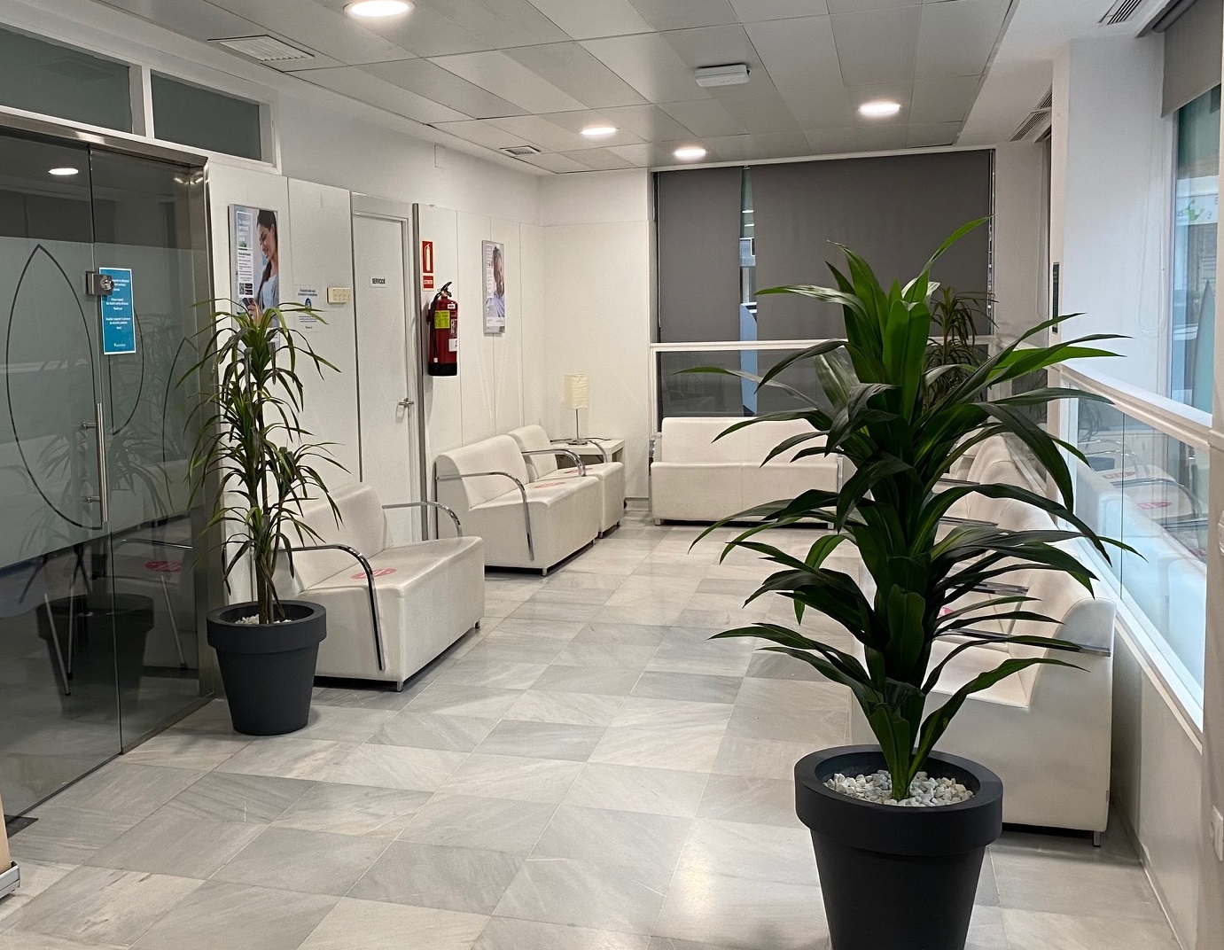 Consulta - Recursos para pacientes - Obesan tu clínica de confianza